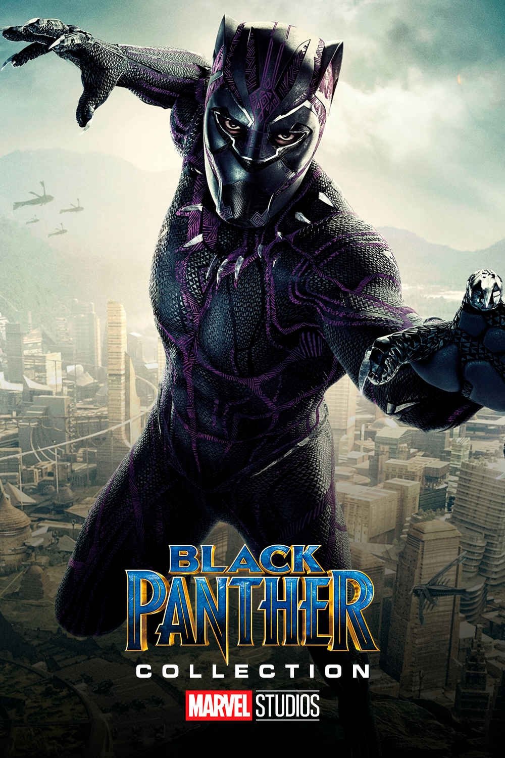 Black Panther Collection - Posters — The Movie Database (TMDB)