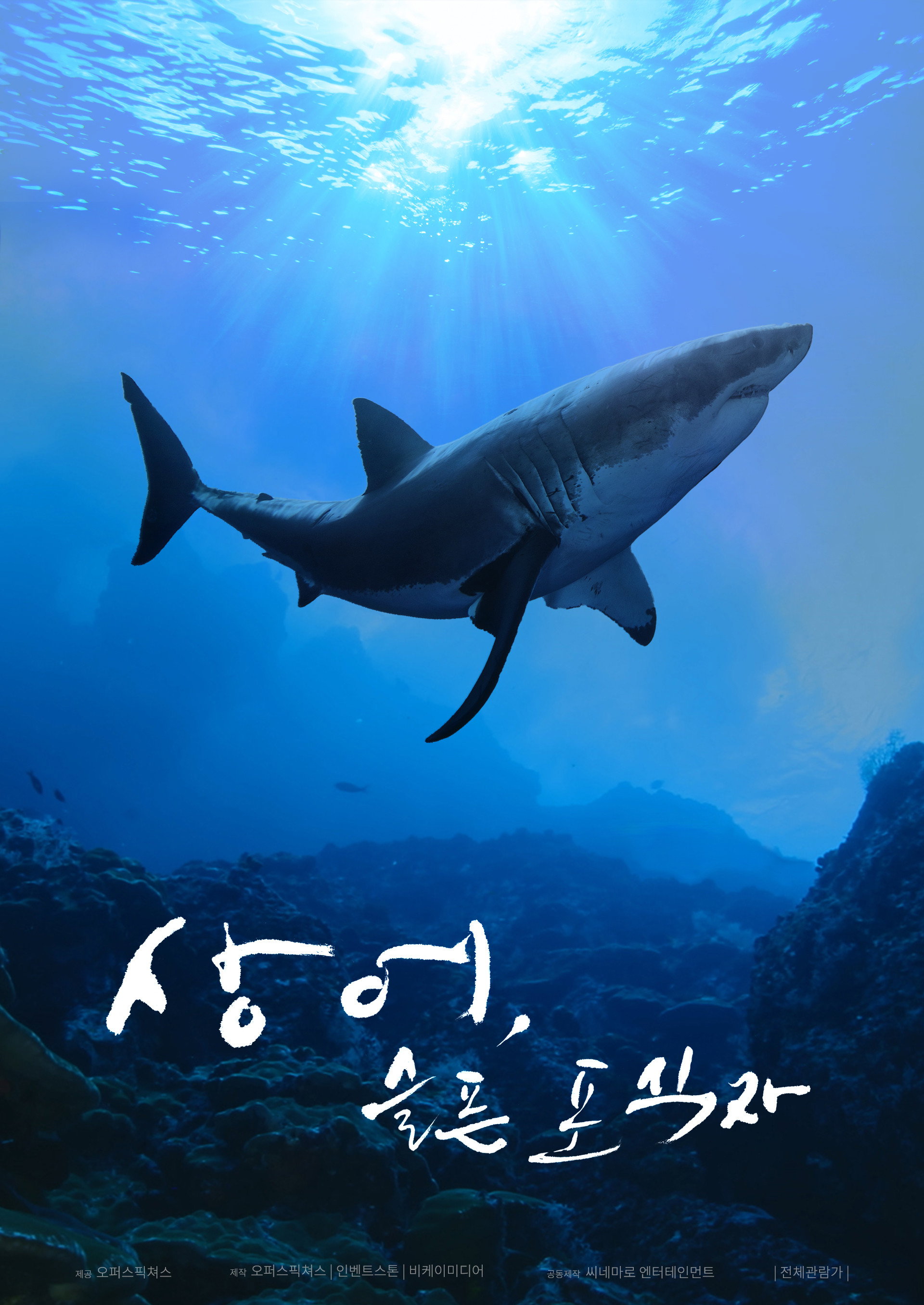Shark, A Sad Predator (2022) - Posters — The Movie Database (TMDB)
