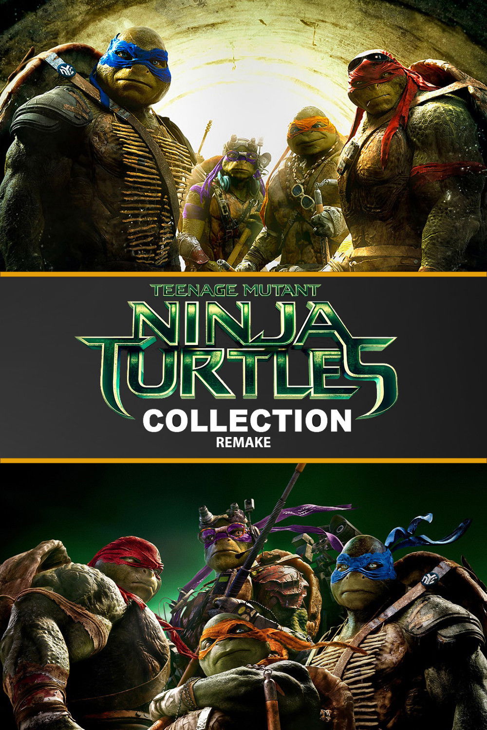 Teenage Mutant Ninja Turtles (Remake) Collection - Posters — The Movie ...