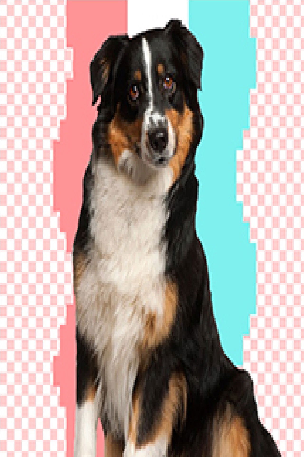 TAAFI 2019 (2019) | The Poster Database (TPDb)