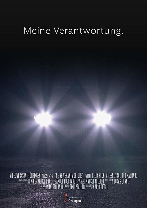 My Fault - My Responsibility (N/A) | The Poster Database (TPDb)