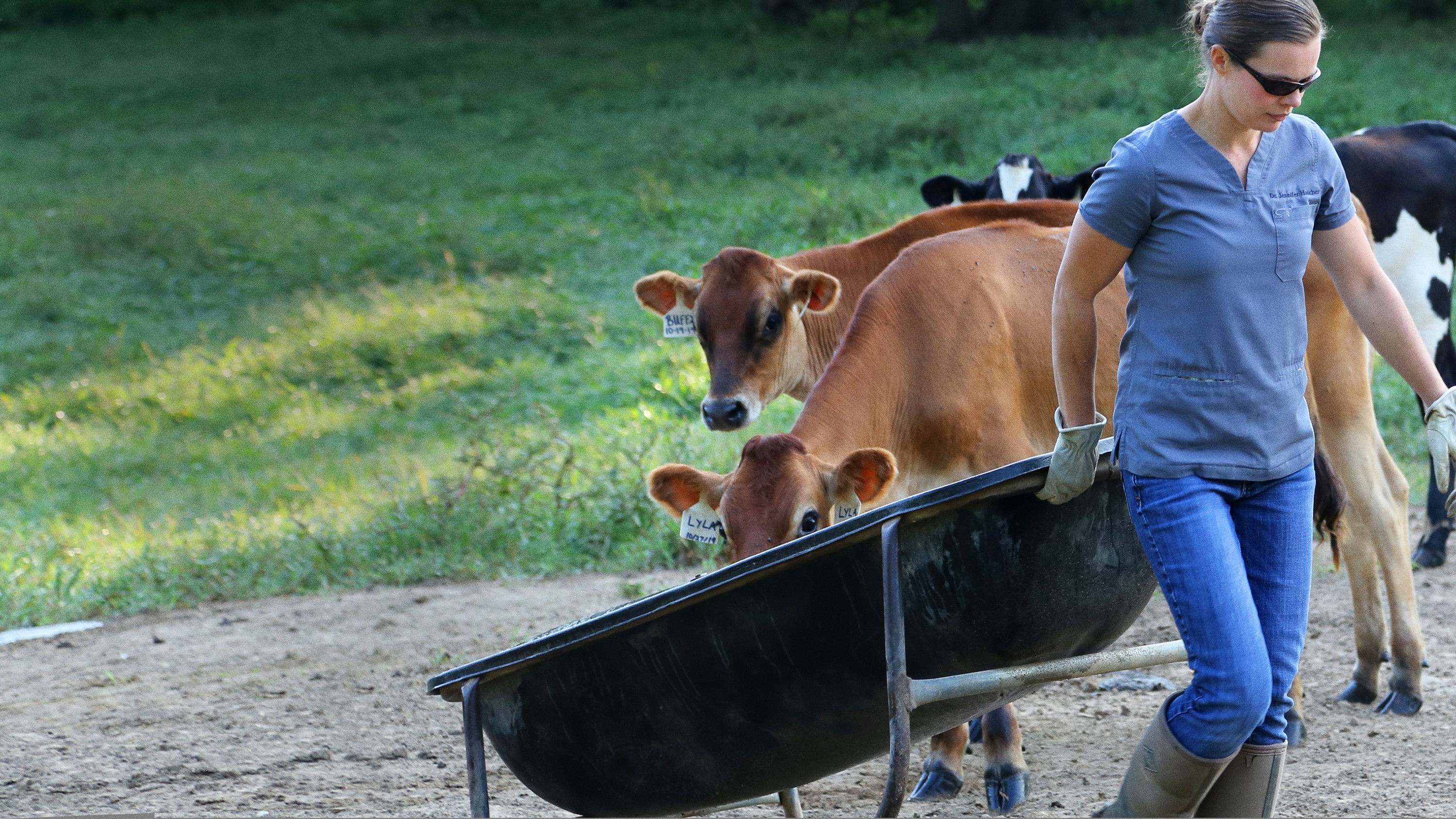 The Hatcher Family Dairy (TV Series 2021- ) - Backdrops — The Movie ...