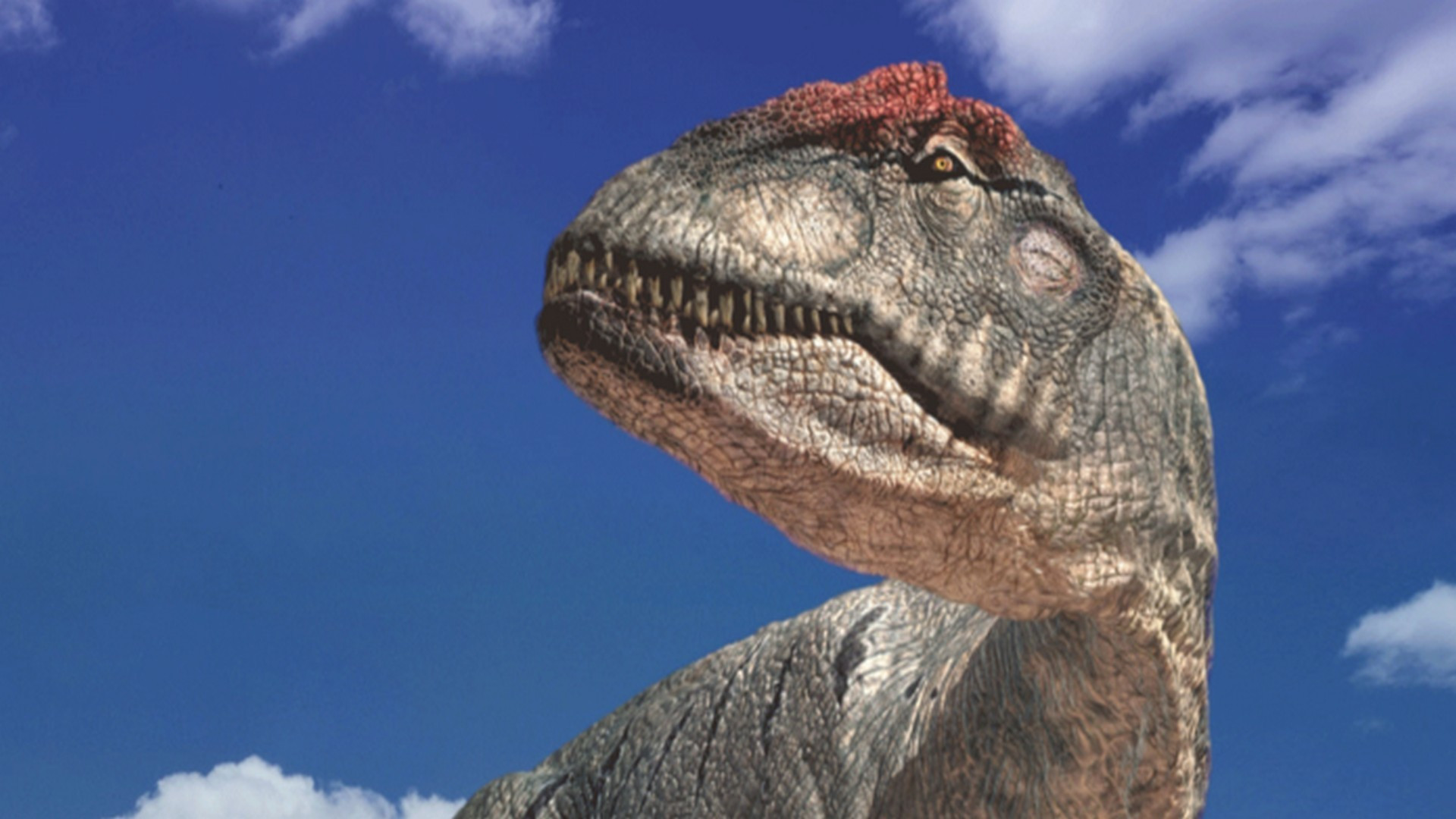 Planet Dinosaur (TV Series 2011-2011) - Backdrops — The Movie Database (TMDb)