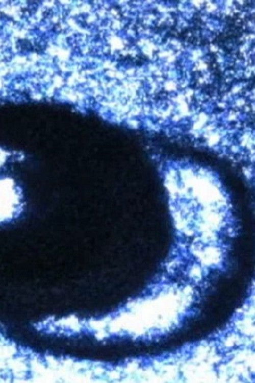 Moment (2006) - Posters — The Movie Database (TMDB)