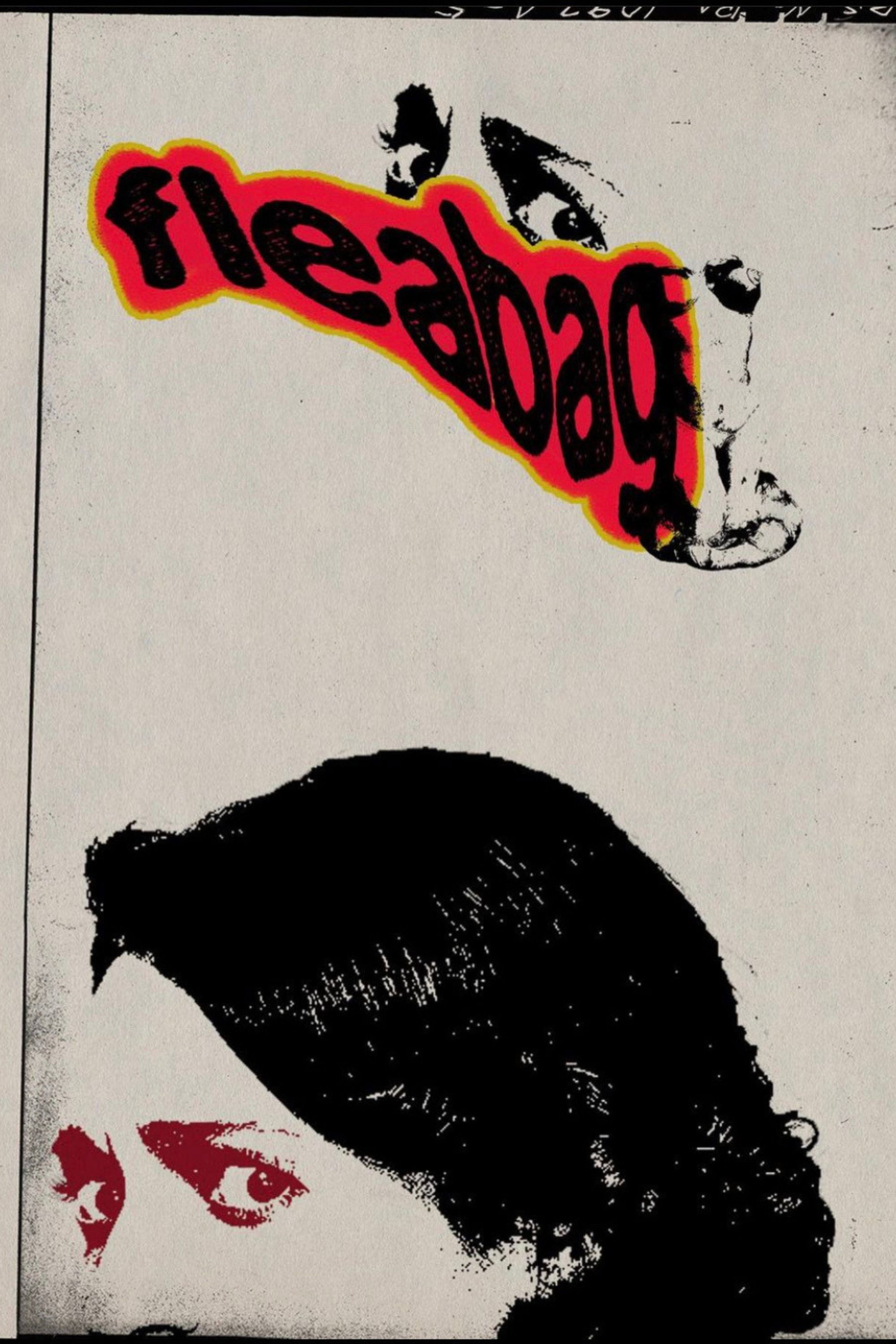 Fleabag (TV Series 2016-2019) - Posters — The Movie Database (TMDB)