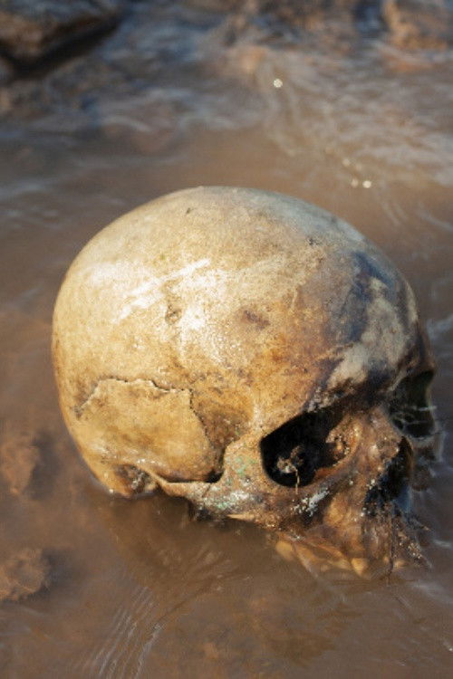 Against the Stream (2016) - Posters — The Movie Database (TMDB)