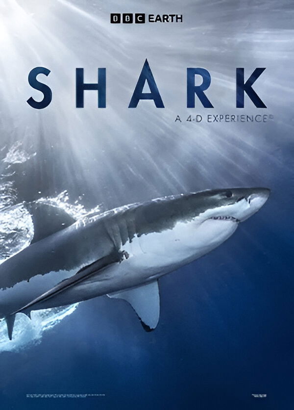 Shark: A 4D Experience (2017) - Posters — The Movie Database (TMDB)