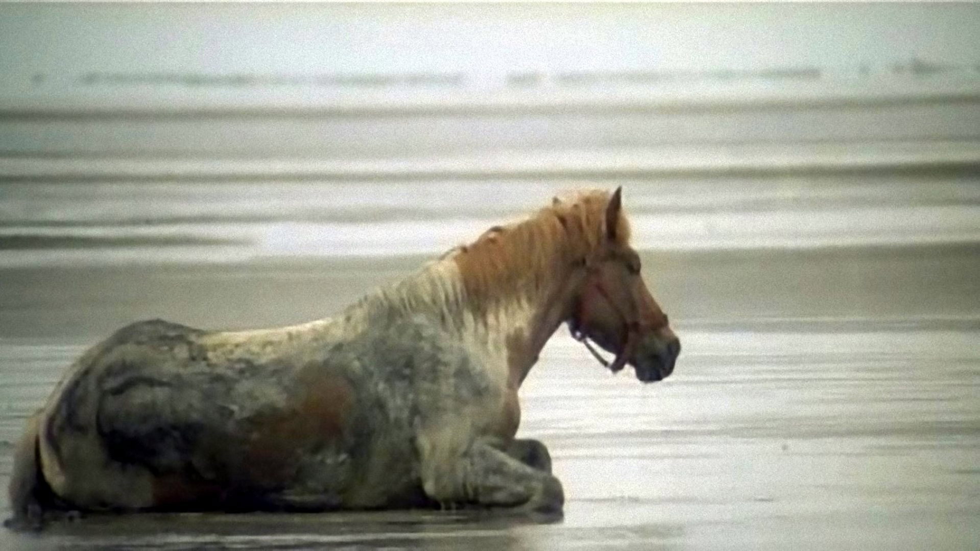 Englar alheimsins (2000) – Filmer – Film . nu