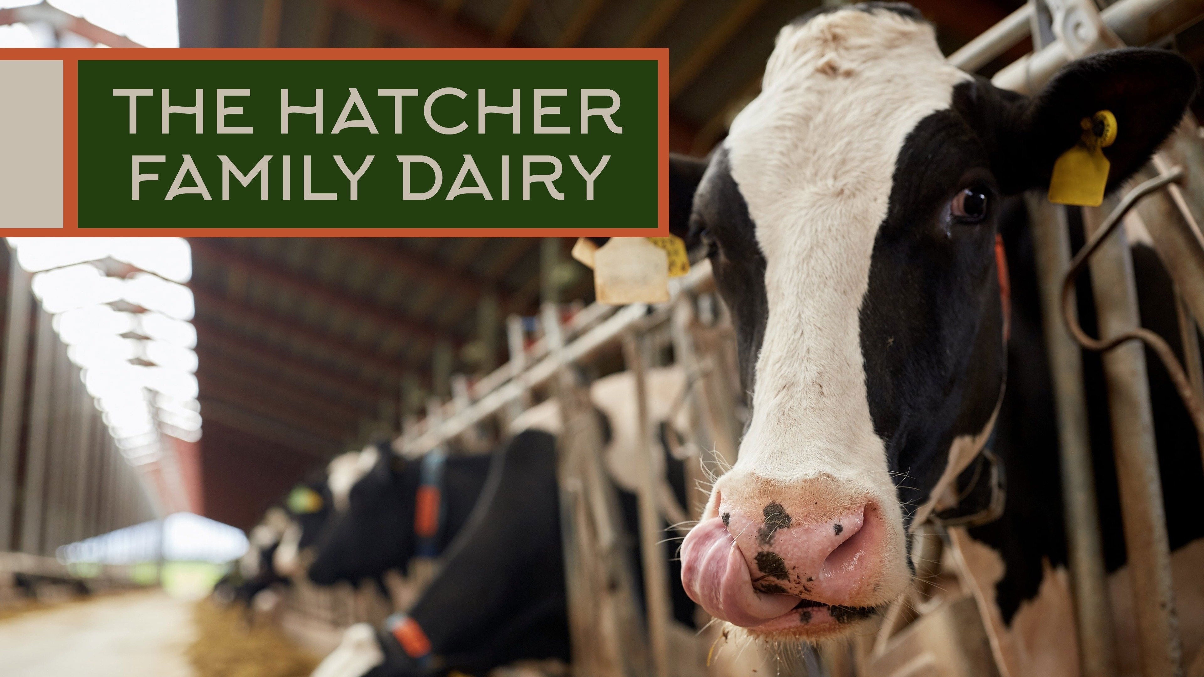 Watch The Hatcher Family Dairy (2021) TV Series Online - Plex