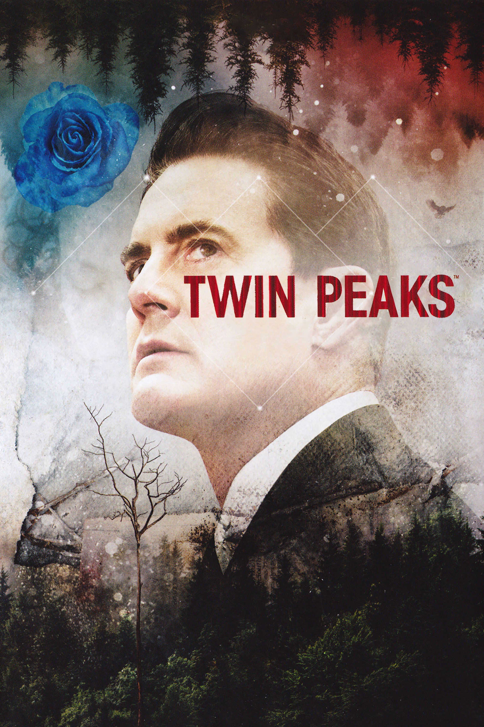 Twin Peaks : Qui a tué Laura Palmer ? - film 1989 - David Lynch ...