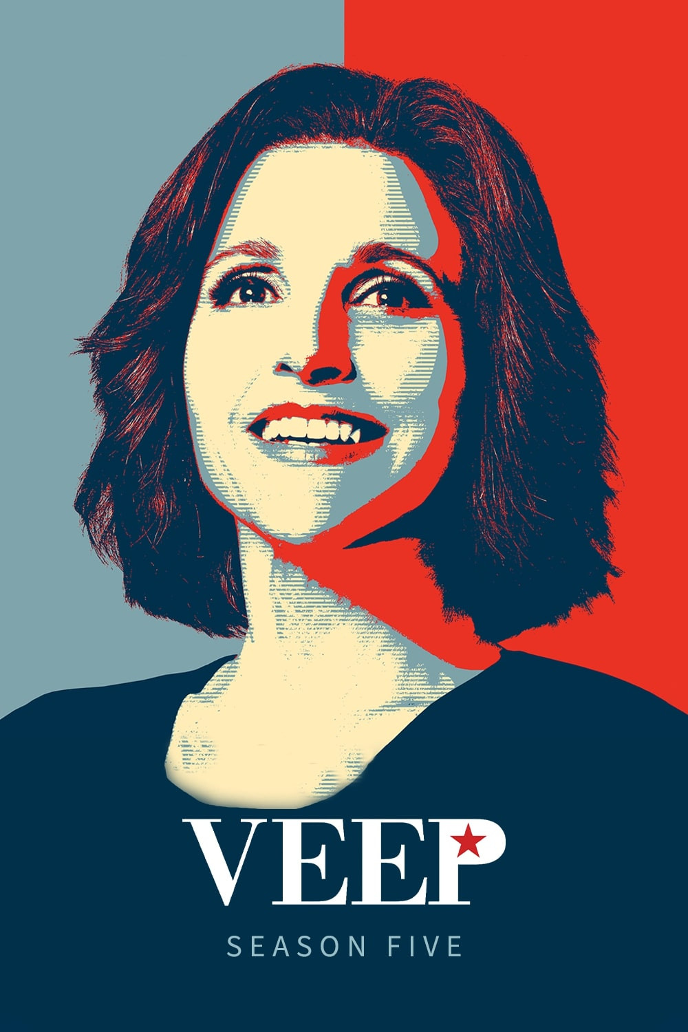 Veep (TV Series 2012-2019) - Posters — The Movie Database (TMDB)