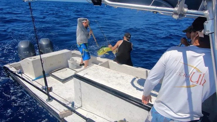 Deadliest Catch: Bloodline: Season 1 - The Harris Legacy (2020) - (S1E1 ...