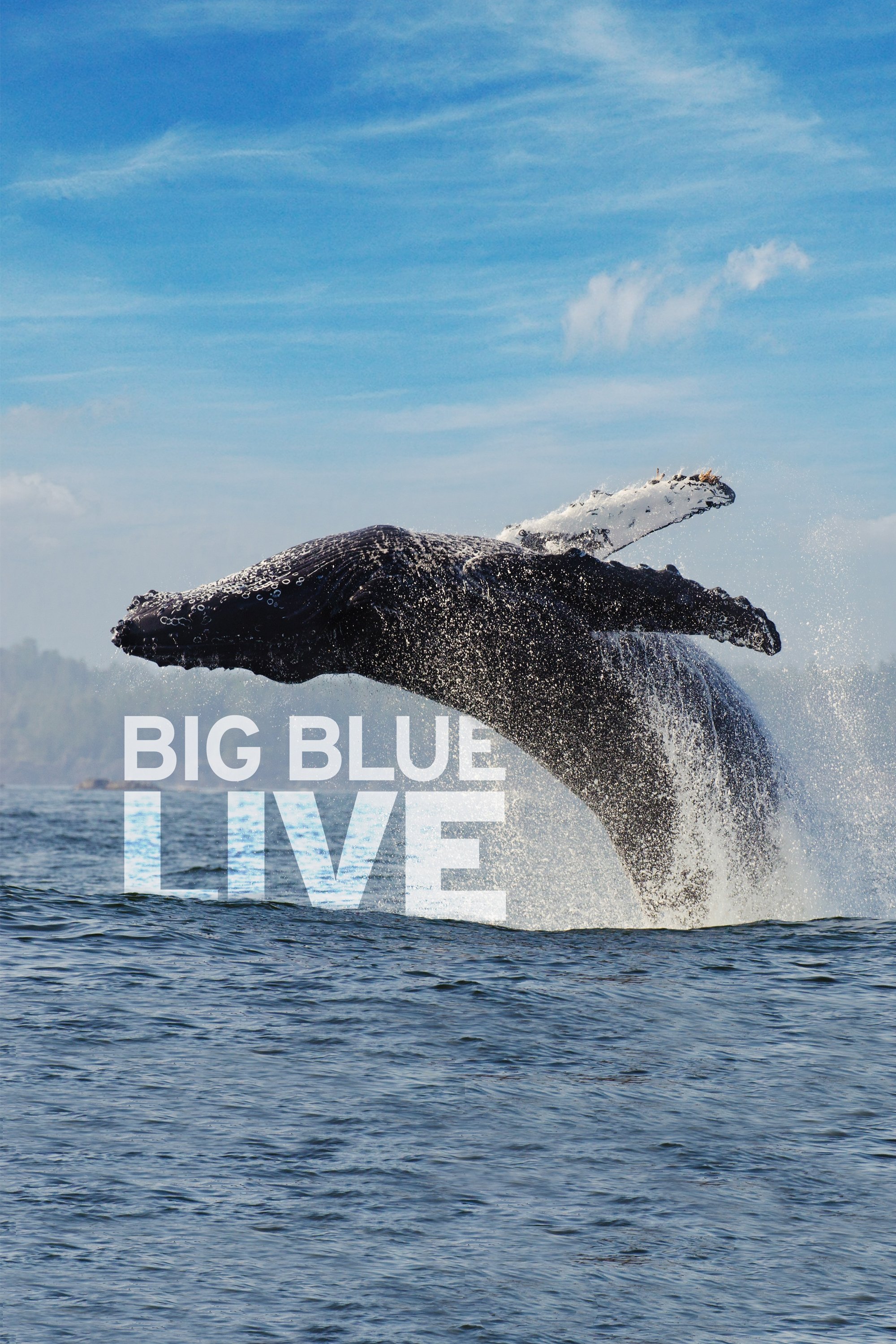 Big Blue Live (TV Series 2015- ) - Posters — The Movie Database (TMDB)