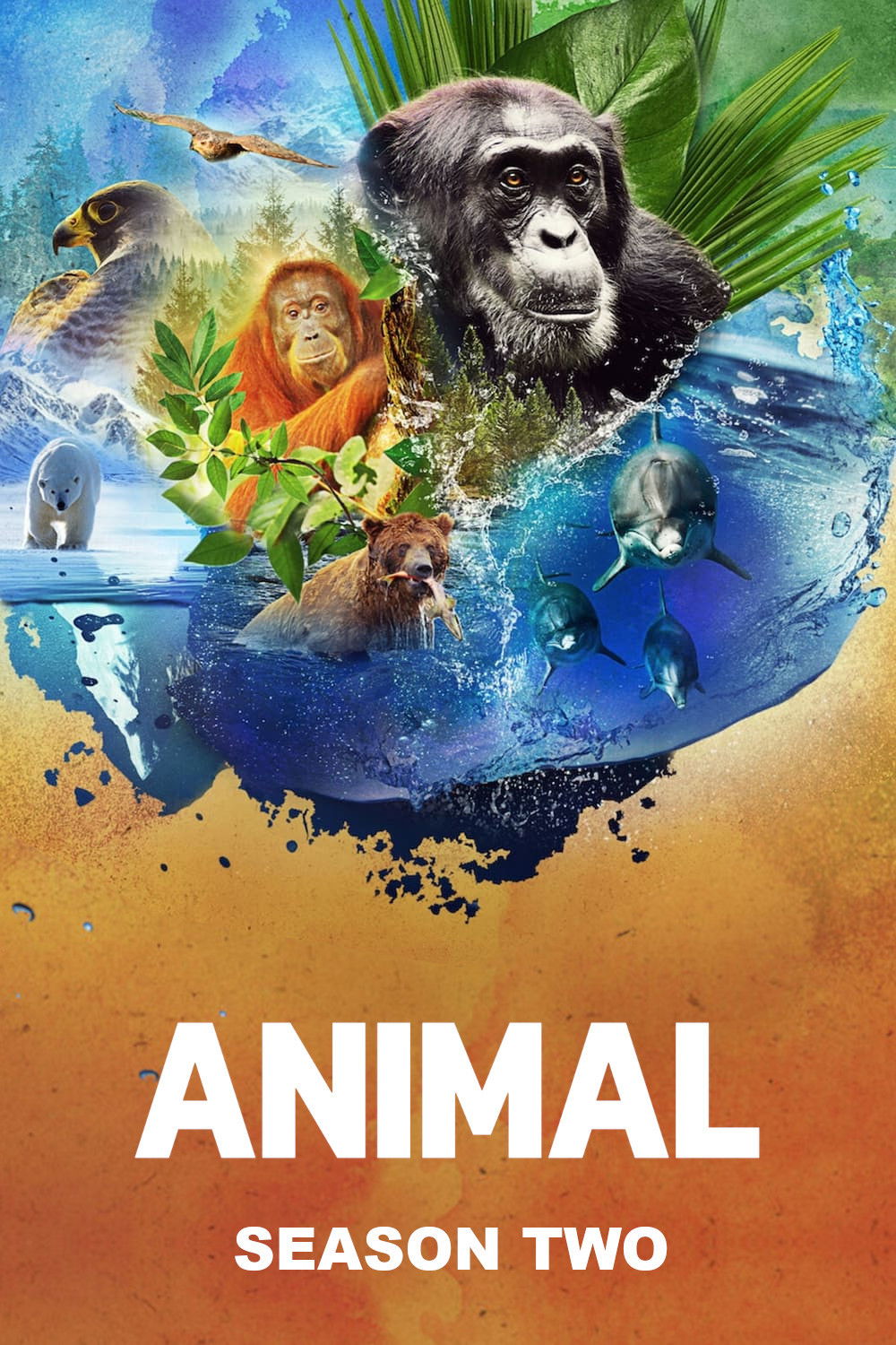 Animal (TV Series 2021- ) - Posters — The Movie Database (TMDB)