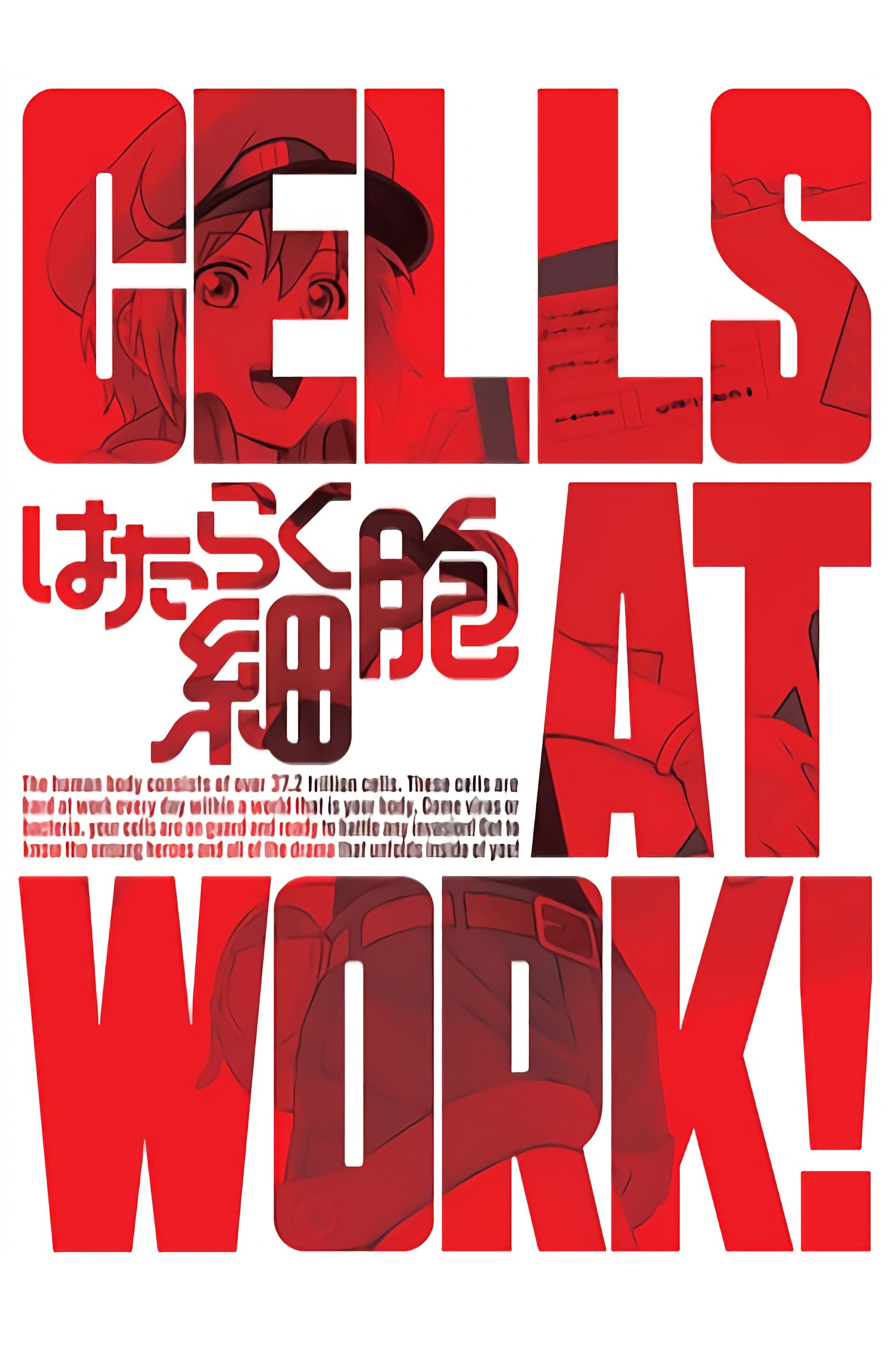 Cells at Work! (TV Series 2018-2021) - Posters — The Movie Database (TMDB)