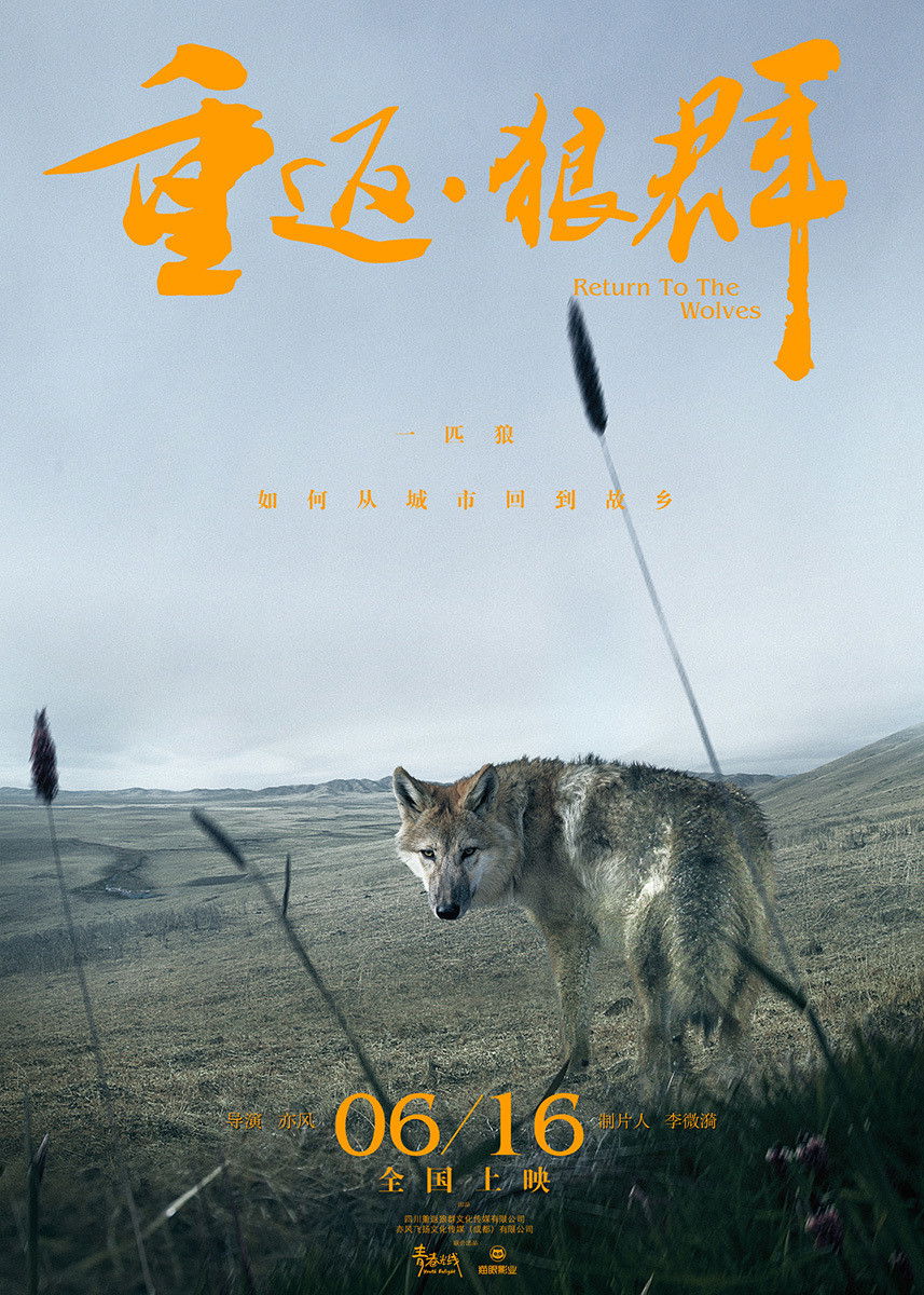 Return to the Wolves (2017) - Posters — The Movie Database (TMDB)