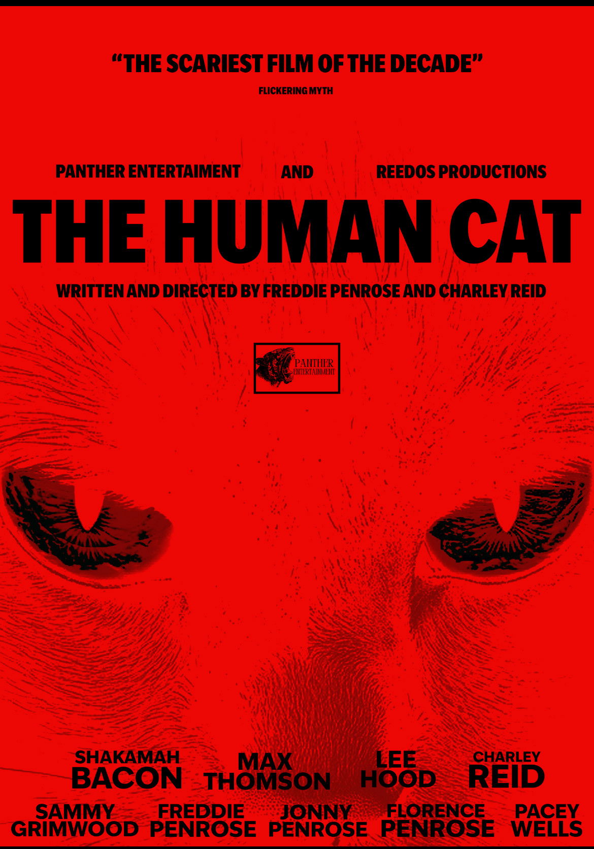 The Human Cat (2024) - Posters — The Movie Database (TMDB)