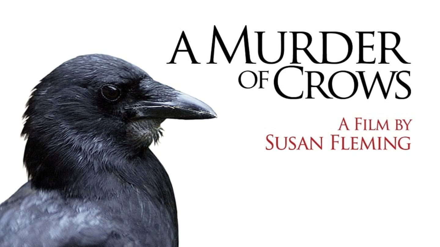 A Murder of Crows (2010) - Plex