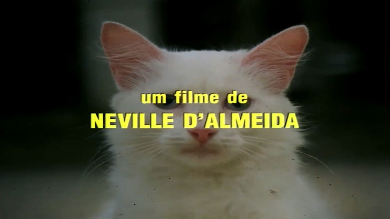 Os Sete Gatinhos Filme - RETOEDU