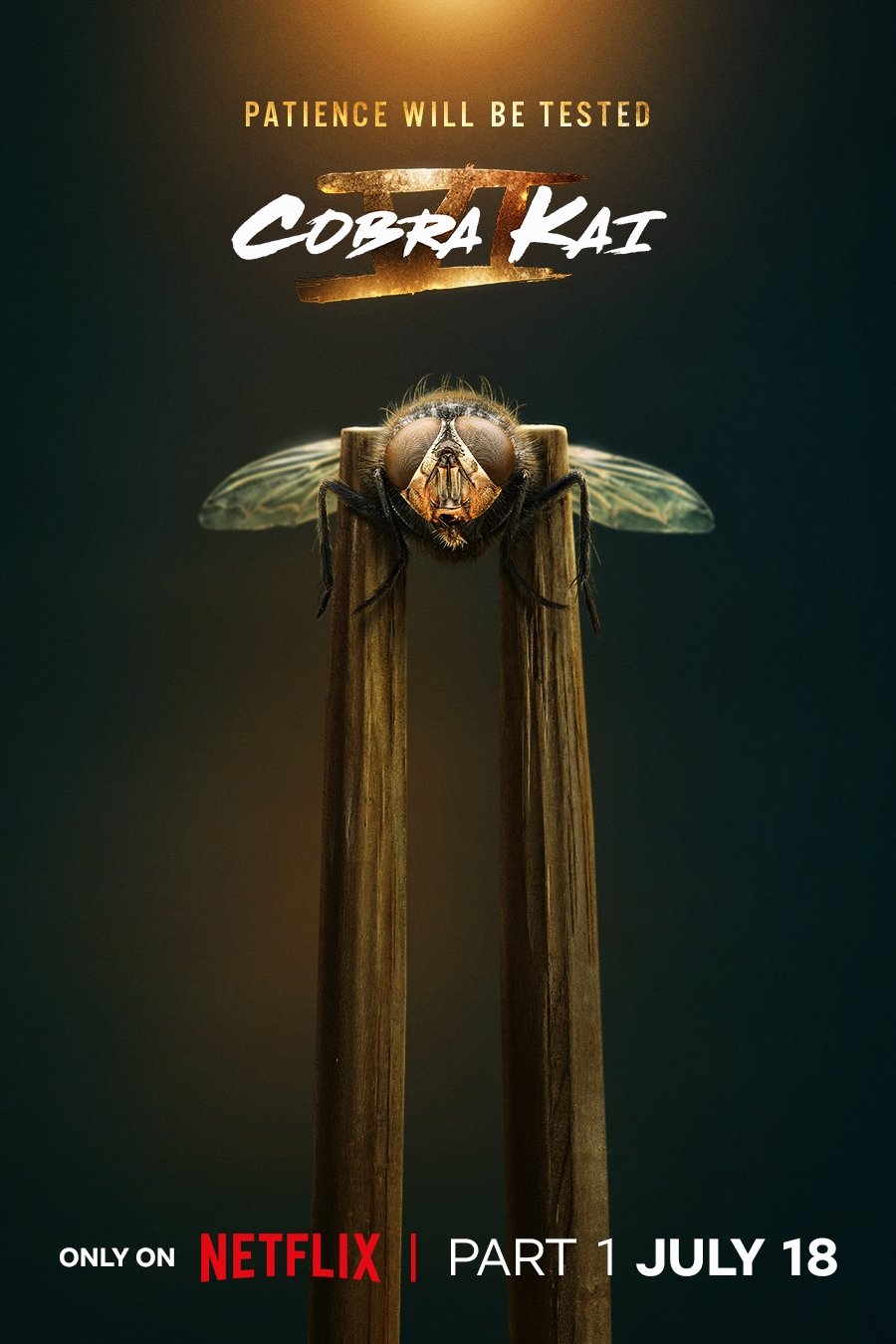 Cobra Kai (TV Series 2018-2025) - Posters — The Movie Database (TMDB)