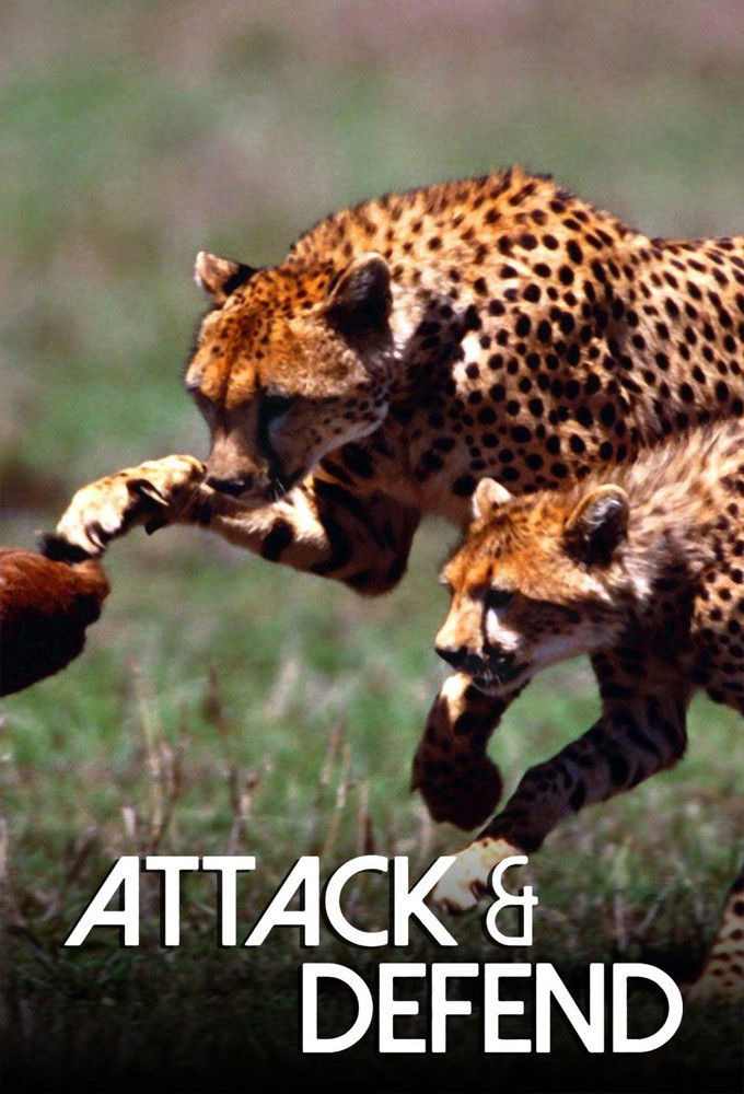 Attack and Defend (2015) | The Poster Database (TPDb)