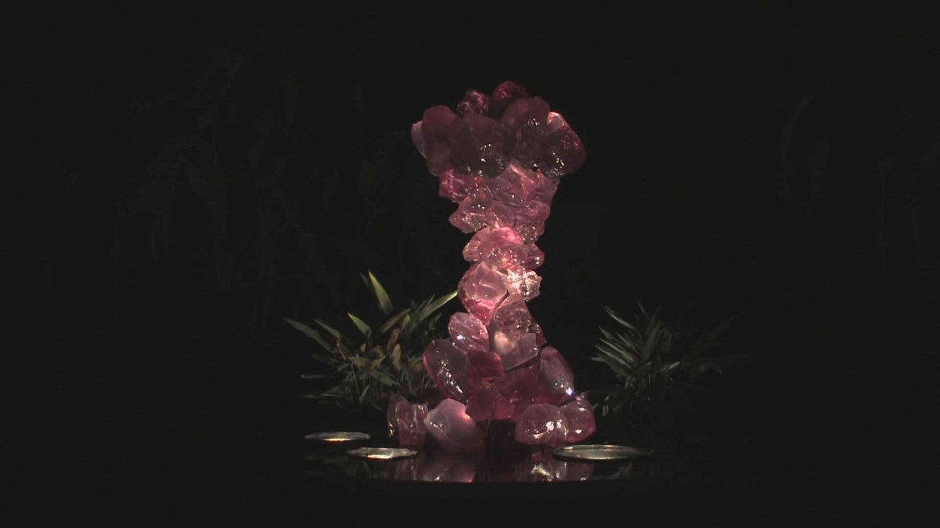 HD Moods: Chihuly in Nature (2009) - Backdrops — The Movie Database (TMDB)