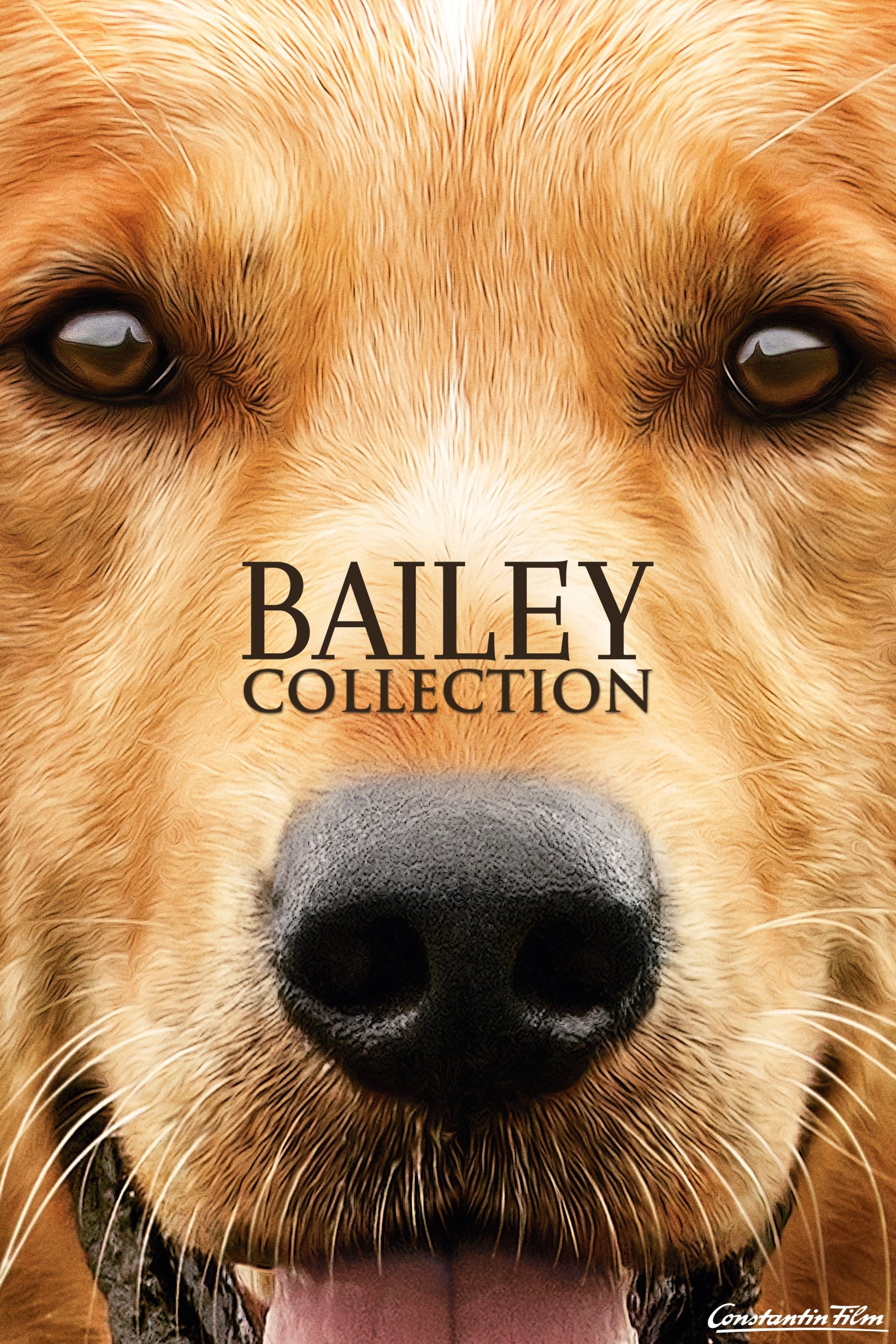 A Dog's Purpose Collection - Posters — The Movie Database (TMDB)