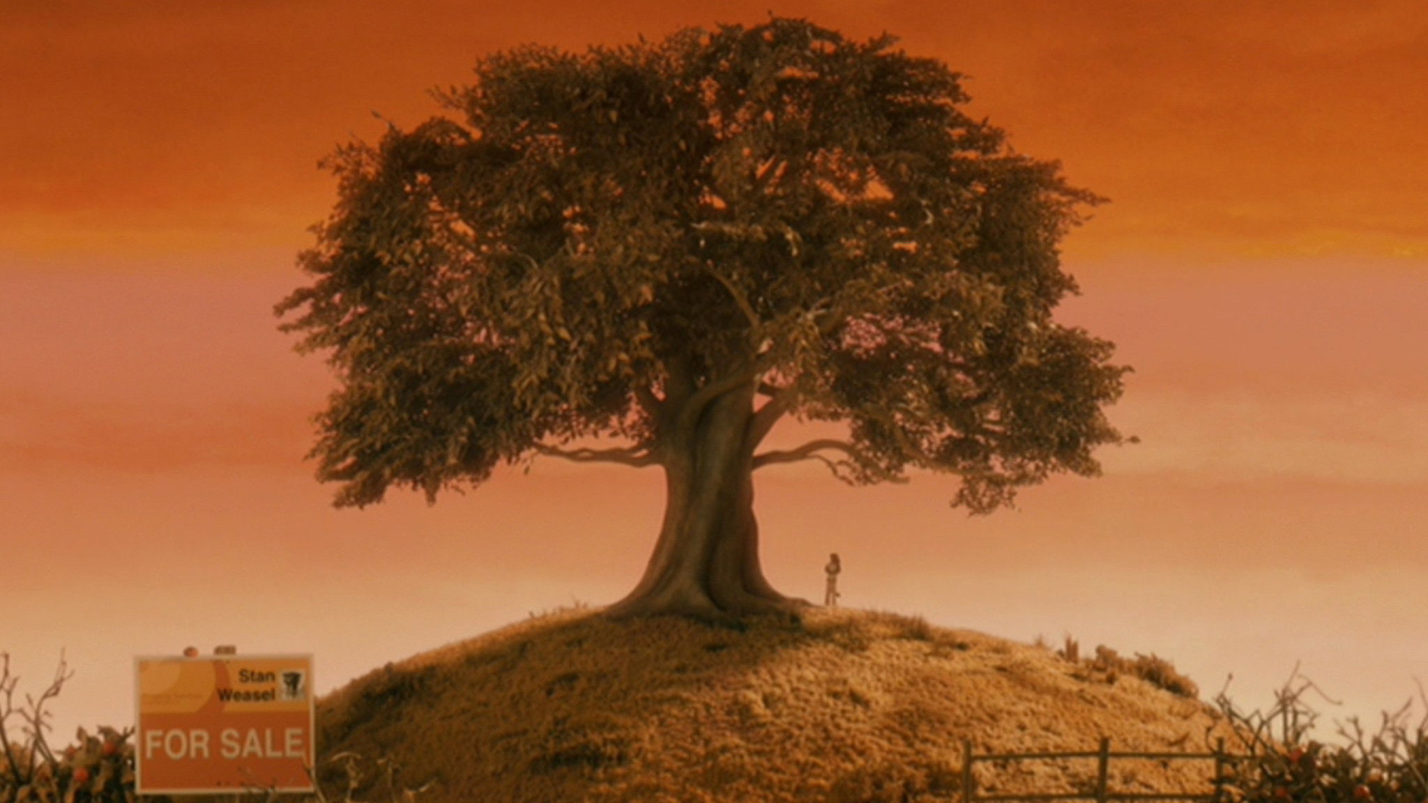 Fantastic Mr. Fox (2009) - Backdrops — The Movie Database (TMDB)