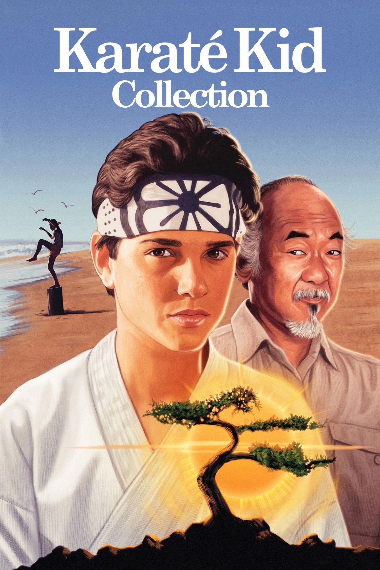 The Karate Kid Collection - Posters — The Movie Database (TMDB)