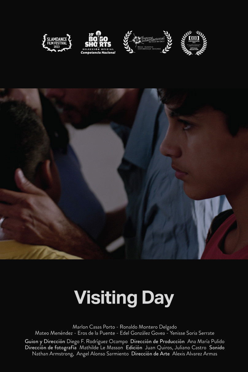 Visiting Day (2022) - Posters — The Movie Database (TMDB)