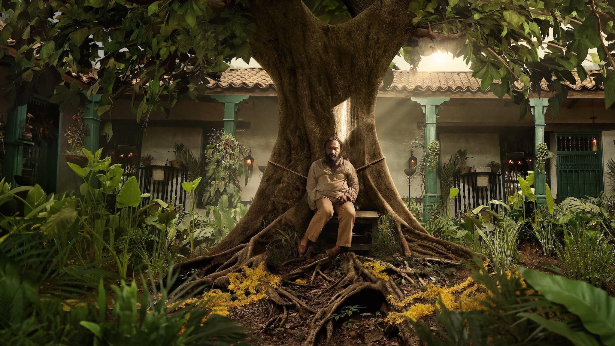Cien Años De Soledad - Serie Completa Online En HD Gratis | PelisStream Cien Años De Soledad - Serie Completa Online En HD Gratis | PelisStream