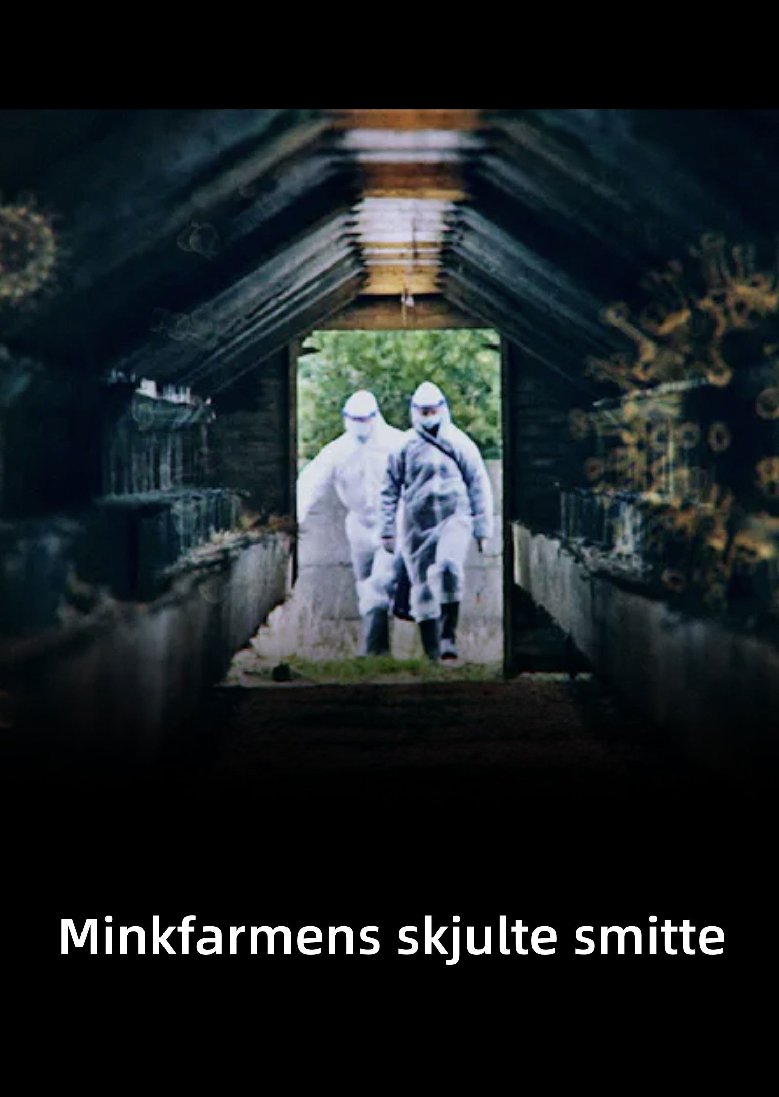 Minkfarmens skjulte smitte (2022) - Posters — The Movie Database (TMDB)