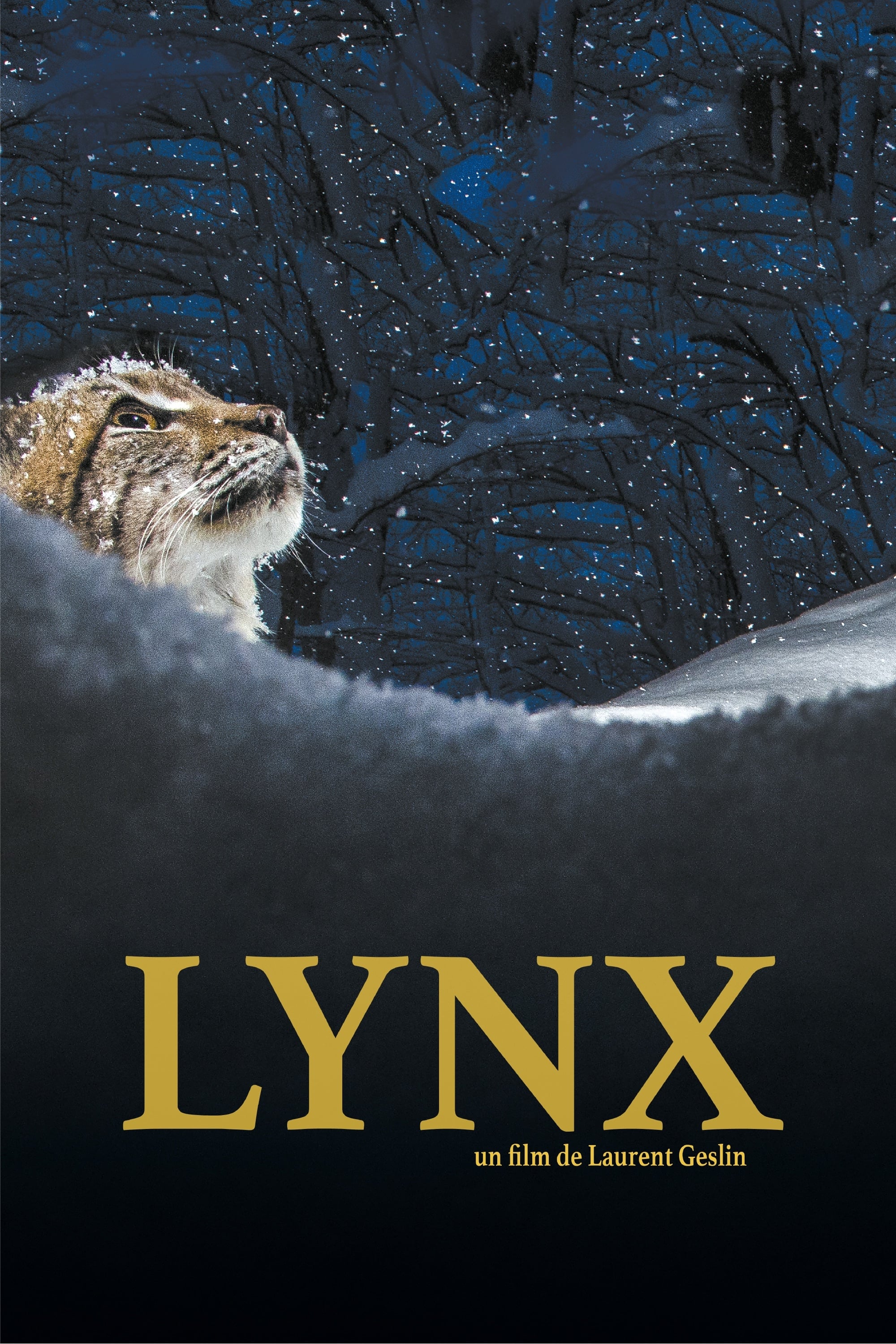Lynx - Datos, trailer, plataformas, protagonistas Lynx - Datos, trailer, plataformas, protagonistas