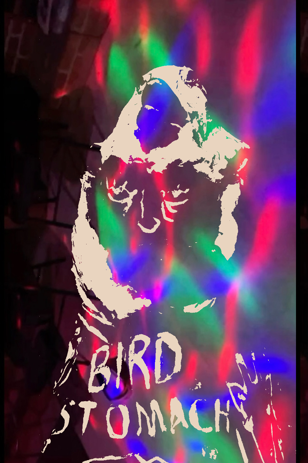 Bird Stomach (2024) - Posters — The Movie Database (TMDB)