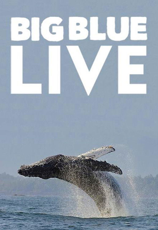 Big Blue Live (TV Series 2015- ) - Posters — The Movie Database (TMDB)