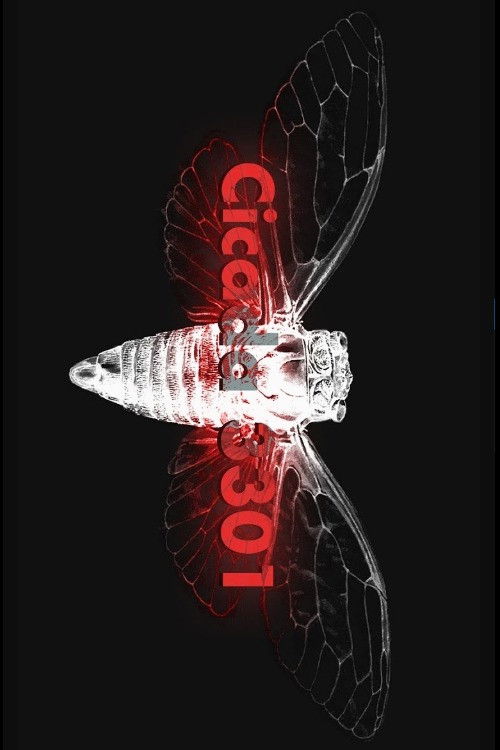 Cicada 3301: An Internet Mystery (2018) - Posters — The Movie Database ...