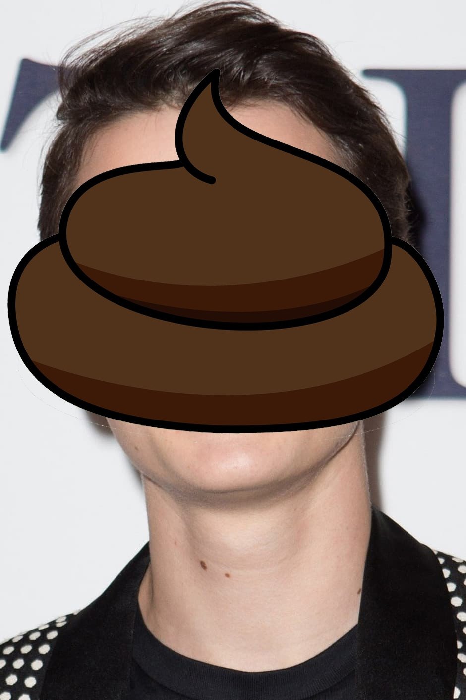 Noah Schnapp - Profile Images — The Movie Database (TMDB) Noah Schnapp - Profile Images — The Movie Database (TMDB)