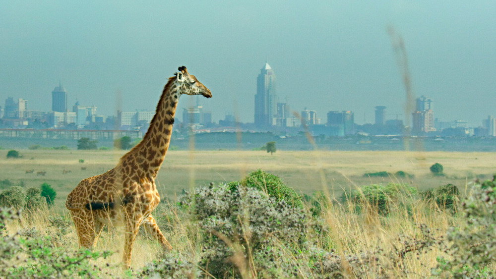 打破边界：我们星球的科学,Breaking Boundaries: The Science of Our Planet(2021电影)完整演 ...