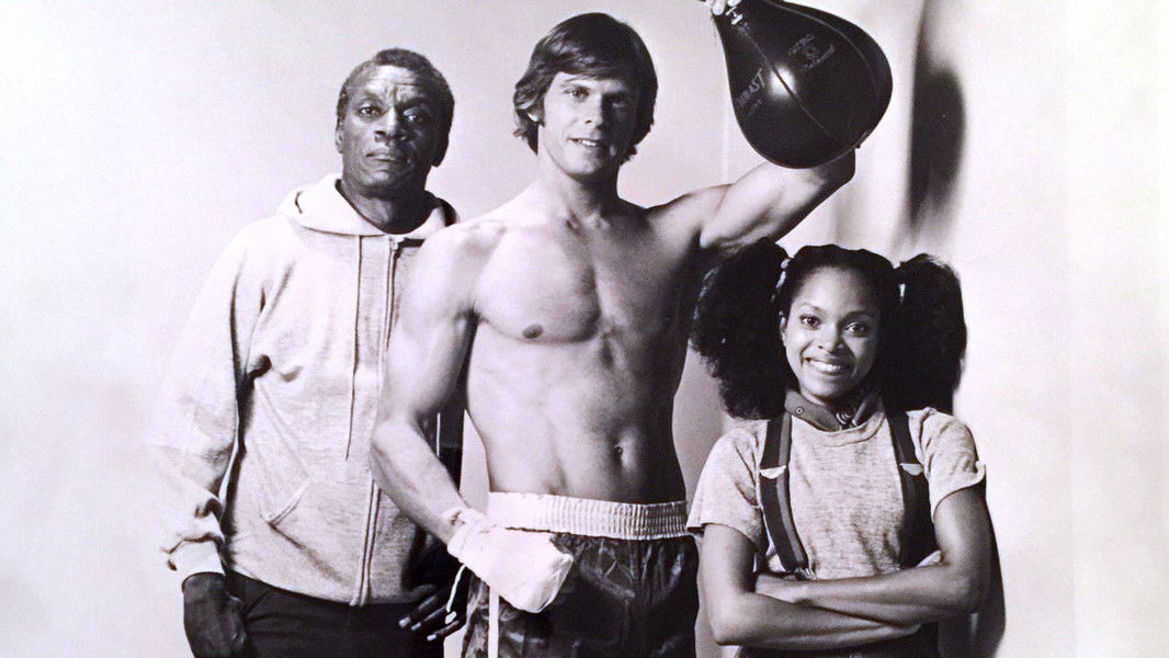 The Contender (TV Series 1980-1980) — The Movie Database (TMDb)