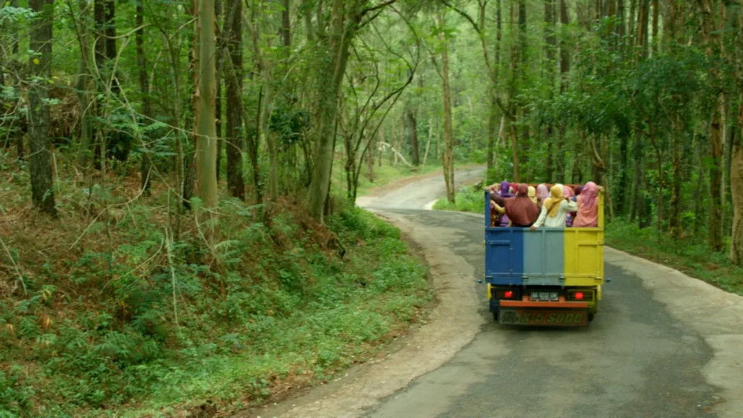 Tilik (2018) — The Movie Database (TMDb)