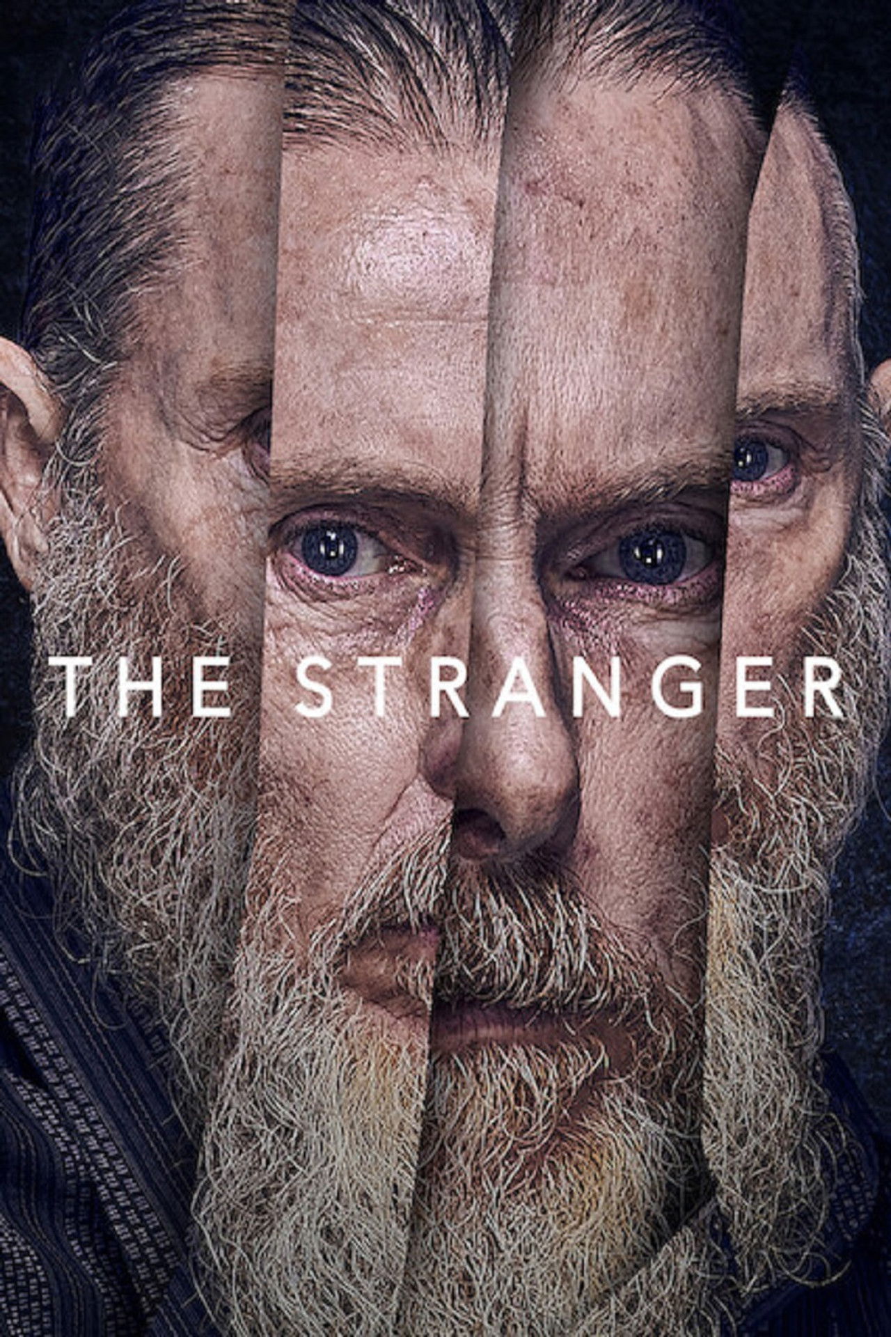 The Stranger (2022) - ⭐6.2/10 - Mediainfo Parser | Powered by www.ProNFO.com