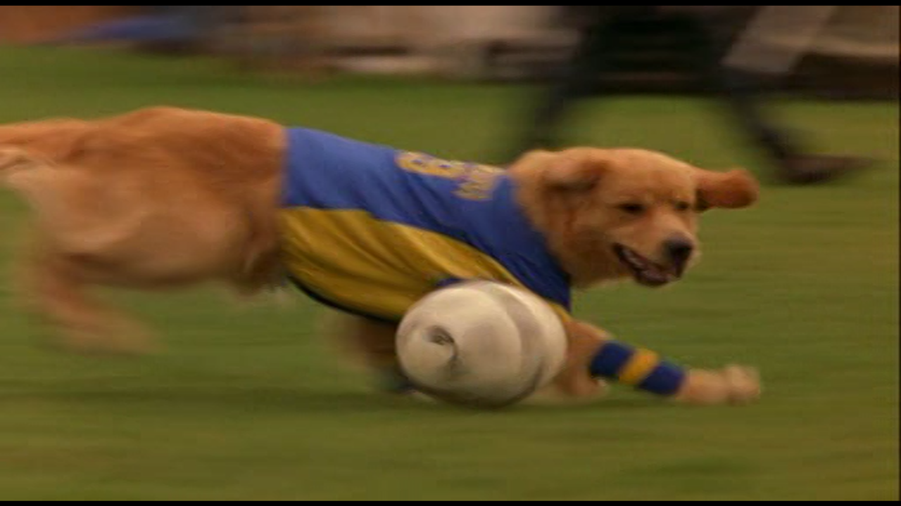 Air Bud 3 - World Pup Movie Review and Ratings by Kids