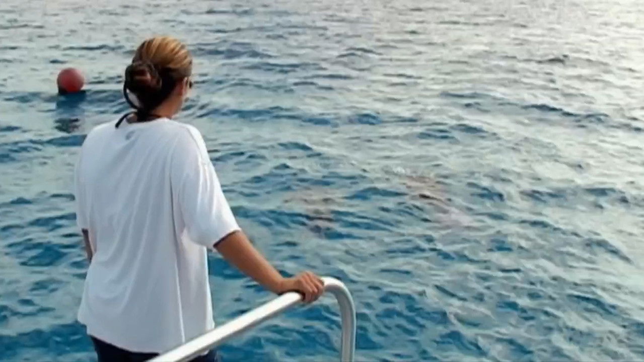 Open Water | Film 2003 | Moviebreak.de