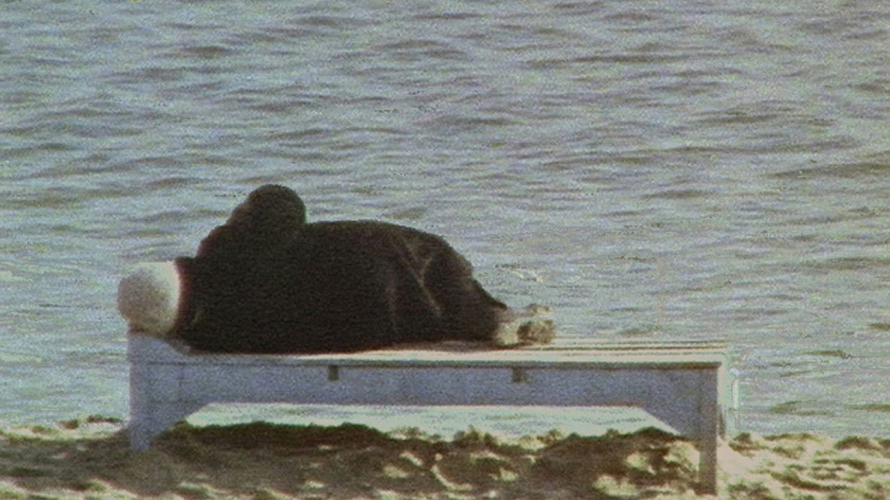 Bela Bela (2001) - FilmFlow.tv