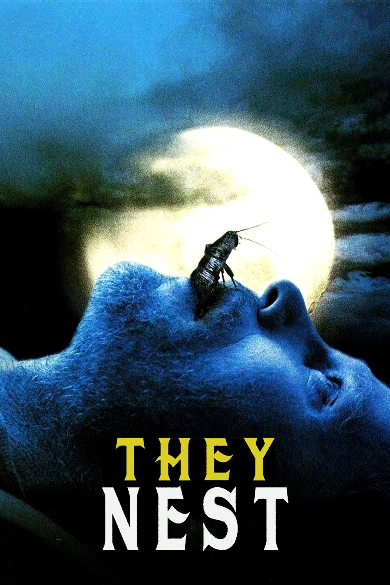 They Nest subtitles English | opensubtitles.com