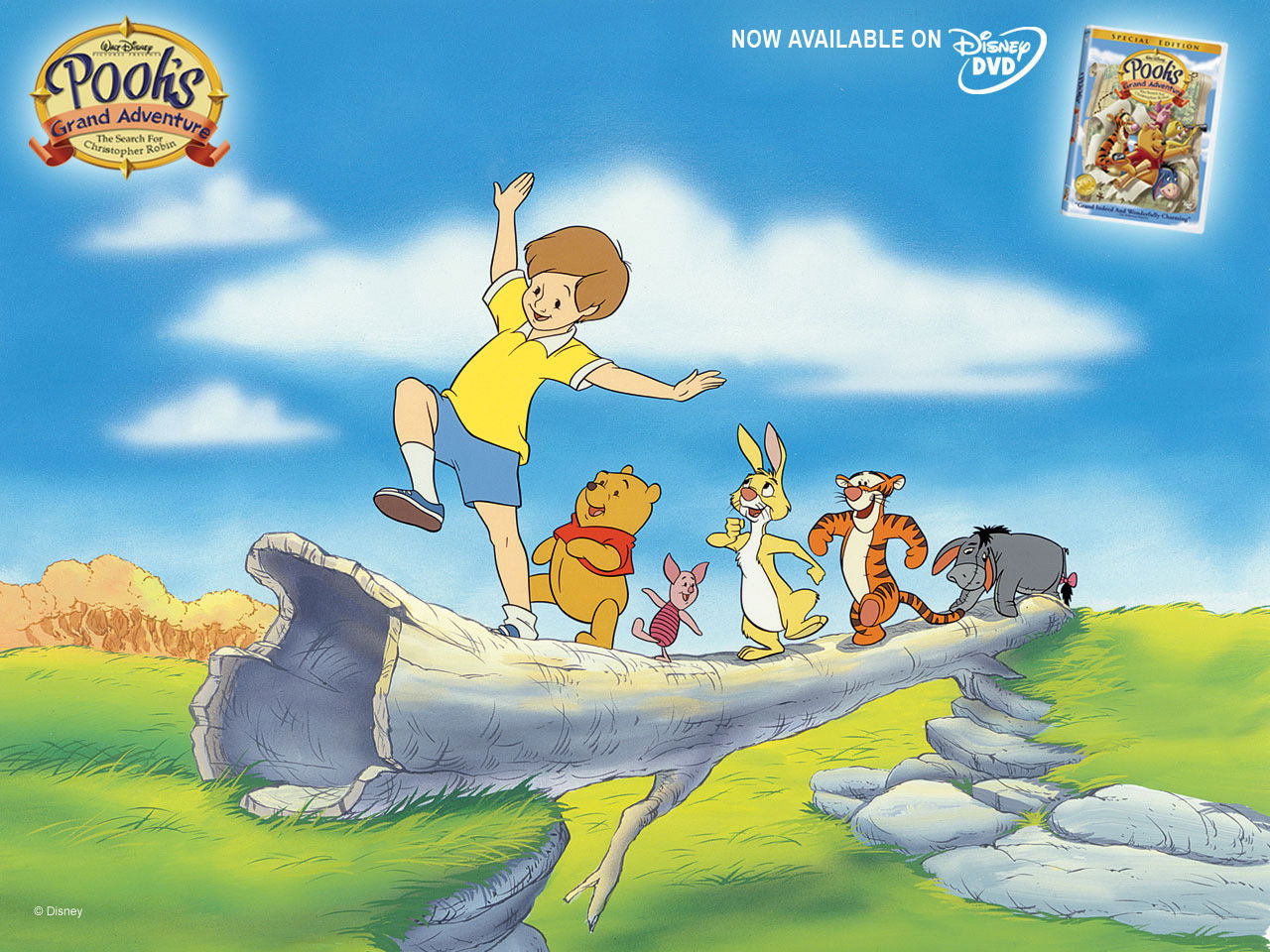 Pooh's Grand Adventure: The Search for Christopher Robin Movie Review ...