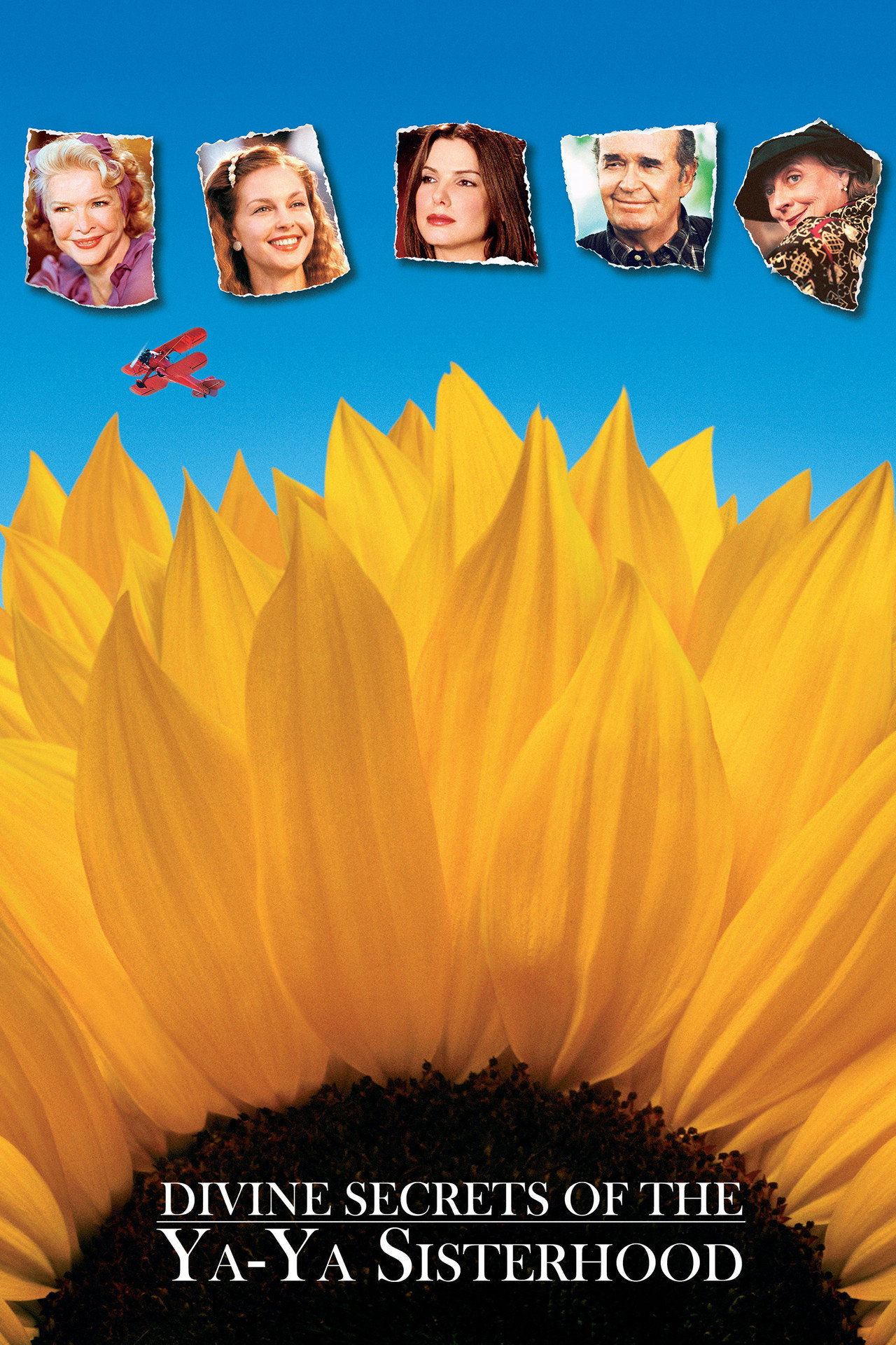 Divine Secrets of the Ya-Ya Sisterhood Subtitles | 65 Available