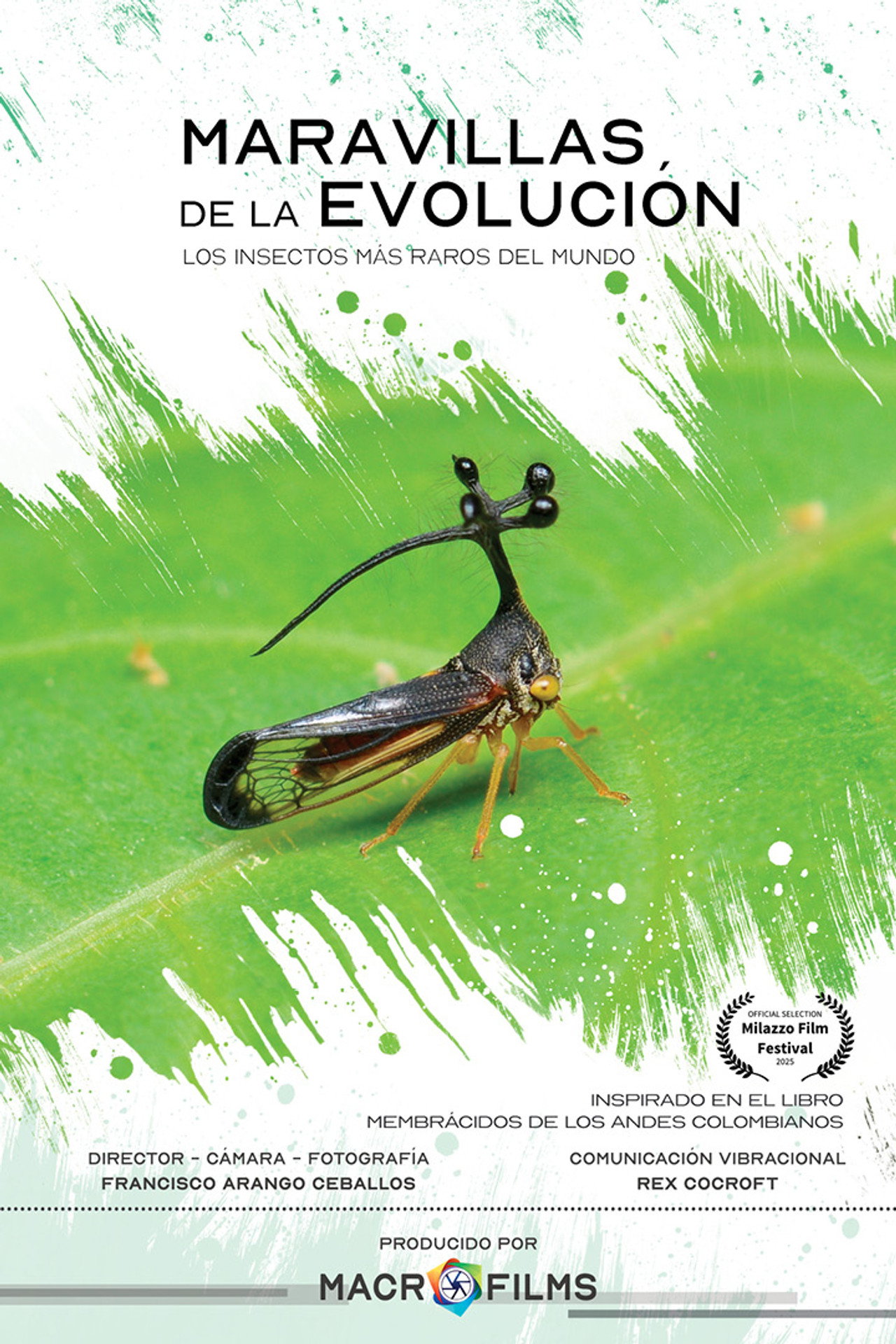 Maravillas de la Evolución. Los insectos más raros del mundo | Kinemaland