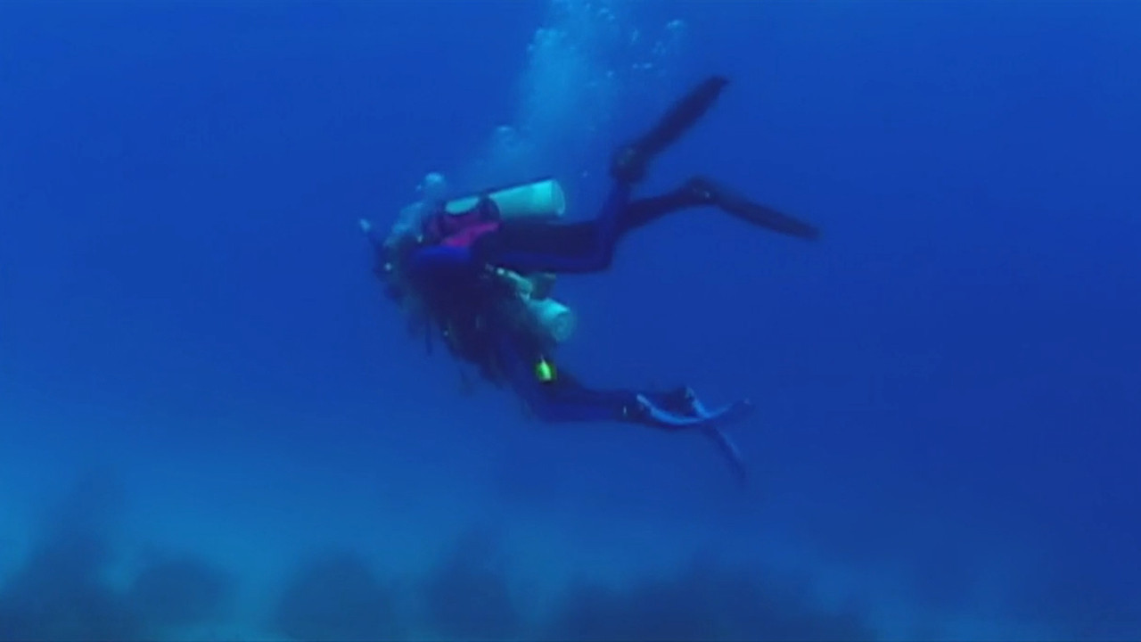 Open Water | Film 2003 | Moviebreak.de