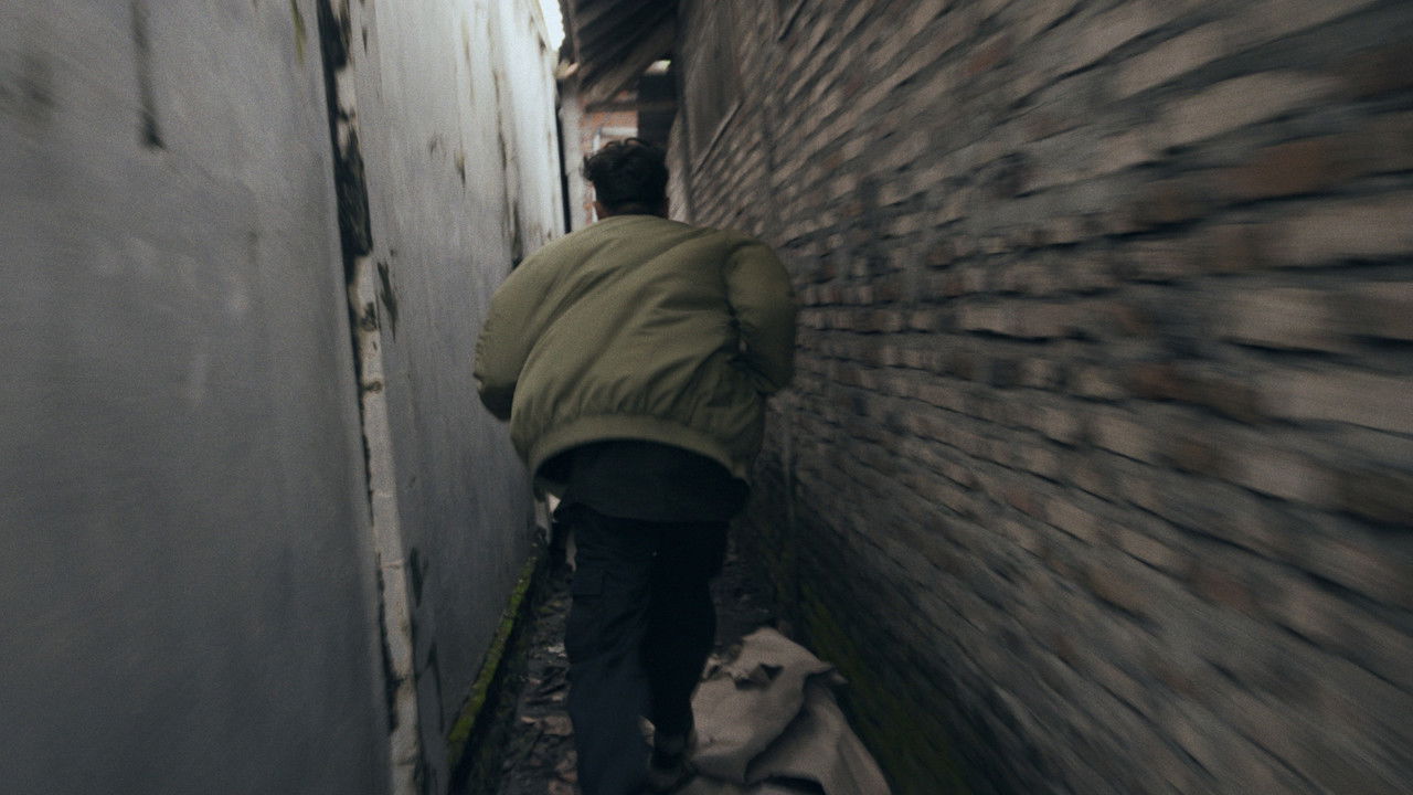 Repair of Memory (2025) - FilmFlow.tv